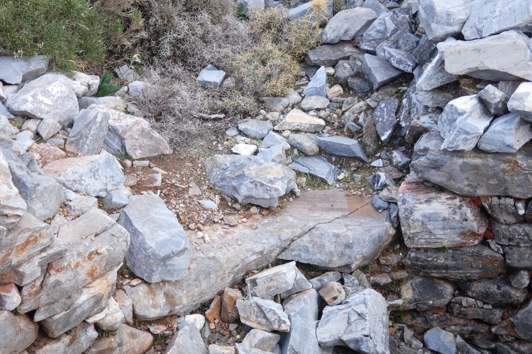 ΑΣΒΕΣΤΟΚΑΜΙΝΟ ΣΤΟ ΒΟΥΝΑΚΑ, ΑΠΕΡΑΘΟΥ ΝΑΞΟΥ | ΟΜΑΔΑ ΒΙ.Δ.Α