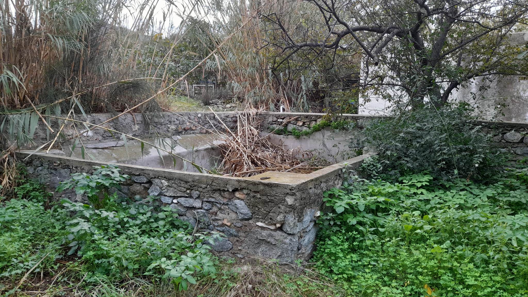 ΜΑΓΓΑΝΟΠΗΓΑΔΟ ΚΑΤΣΑΡΑΔΕΝΑ, ΣΤ.ΘΕΟΦΙΛΟΥ (Δ.ΚΡΗΤΙΚΟΥ), ΓΑΛΗΝΗΣ ΝΑΞΟΥ ...