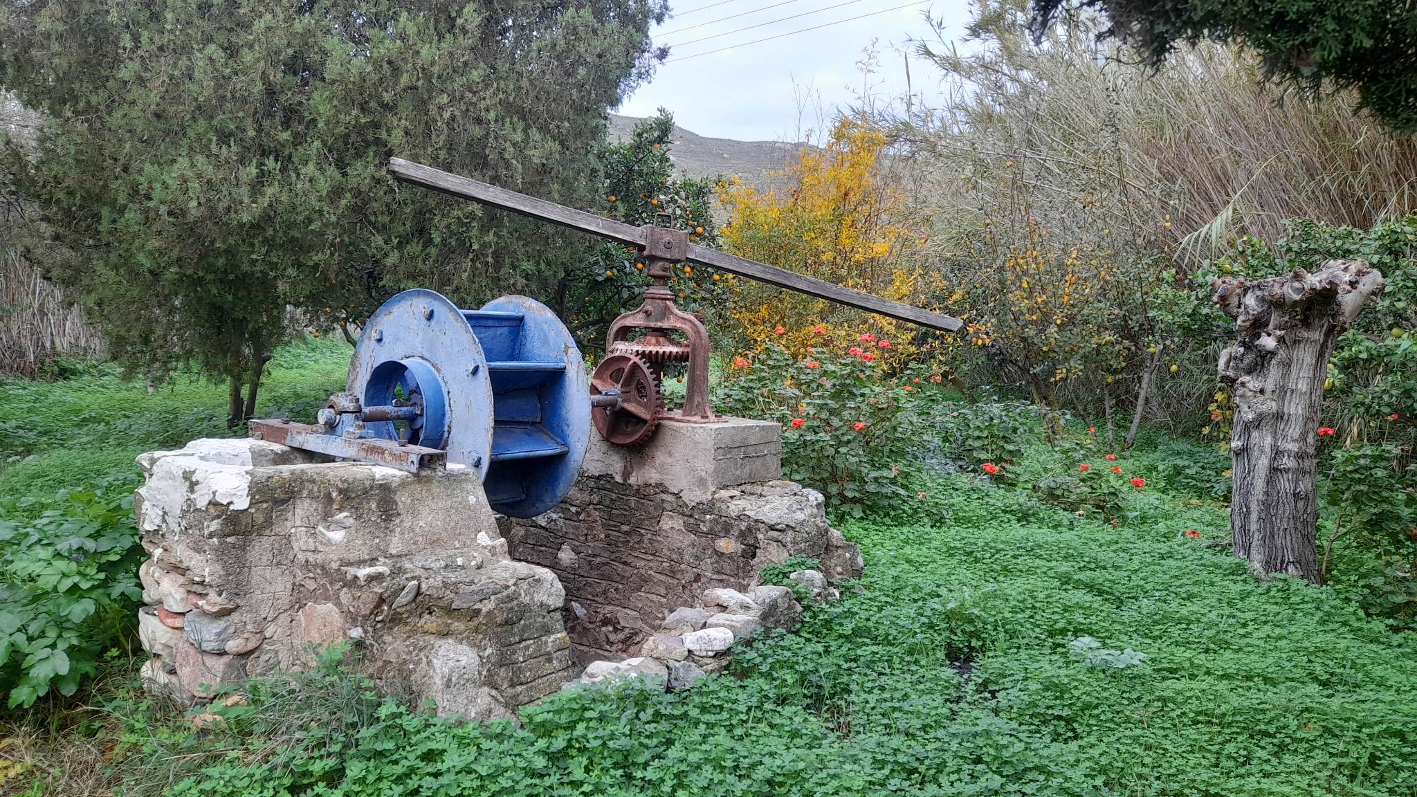 ΜΑΓΓΑΝΟΠΗΓΑΔΟ ΚΑΤΣΑΡΑΔΕΝΑ, ΣΤ.ΘΕΟΦΙΛΟΥ (Δ.ΚΡΗΤΙΚΟΥ), ΓΑΛΗΝΗΣ ΝΑΞΟΥ ...