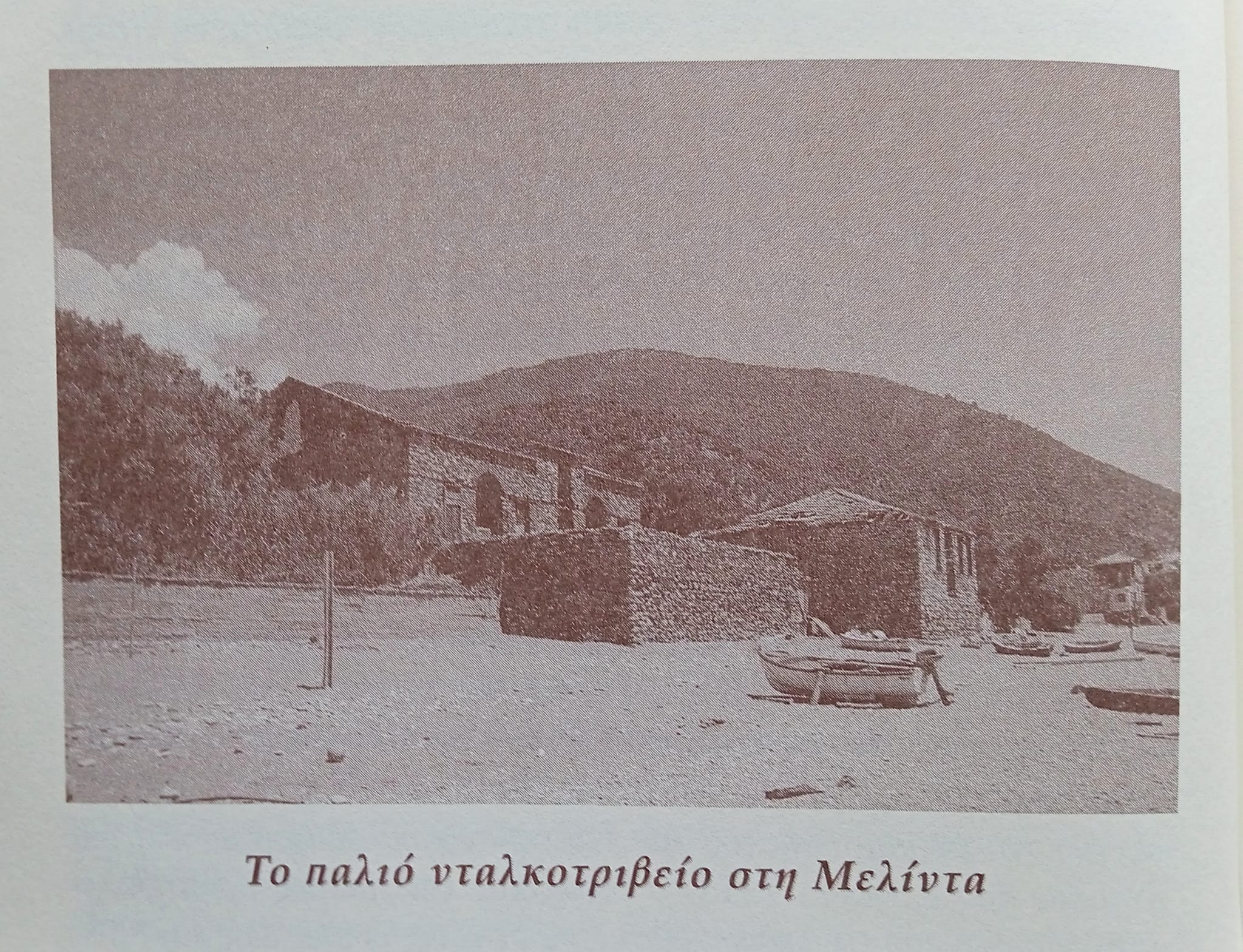 ΝΤΑΛΚΟΤΡΙΒΕΙΟ ΘΡΑΣΥΒΟΥΛΟΥ ΜΕΛΑΝΔΙΝΟΥ ΚΑΙ ΕΥΣΤΑΘΙΟΥ ΓΙΑΛΟΥΡΗ | ΟΜΑΔΑ ΒΙ.Δ.Α